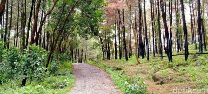 Desamodern.com - Desa Cawet, Pesona Keindahan Perbukitan di Kabupaten ...